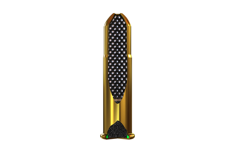 Winchester | Winchester Super X Rat Shot 22LR 12 shot